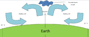 Hadley cell, Ferrel cell, Polar cell | Atmospheric circulation