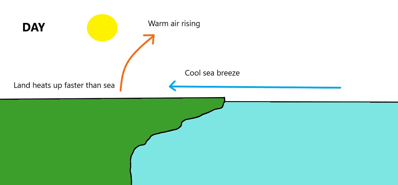 Winds | Types of winds | Prevailing, periodic, and local winds