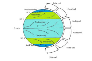 Hadley cell, Ferrel cell, Polar cell | Atmospheric circulation