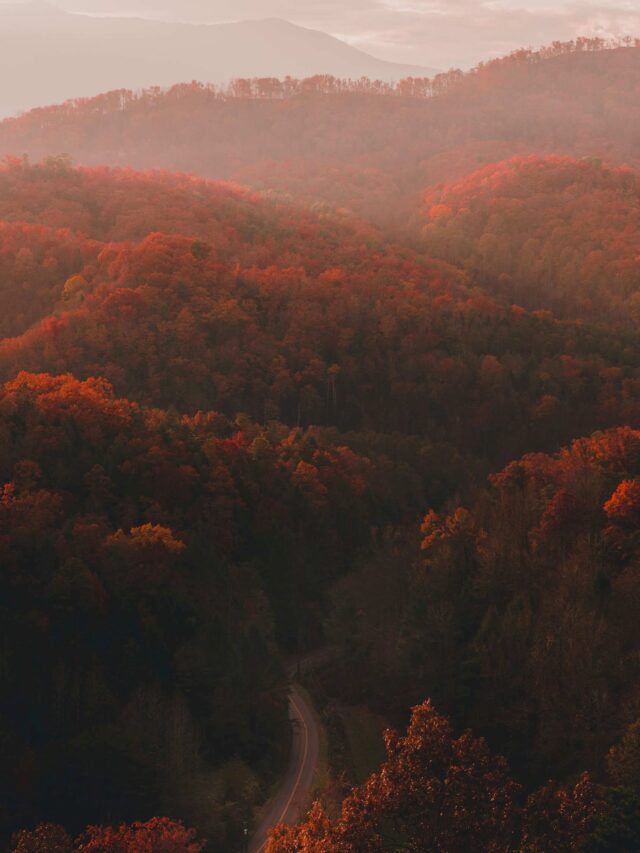 Great Smoky Mountains National Park vs Rocky Mountain National Park ...