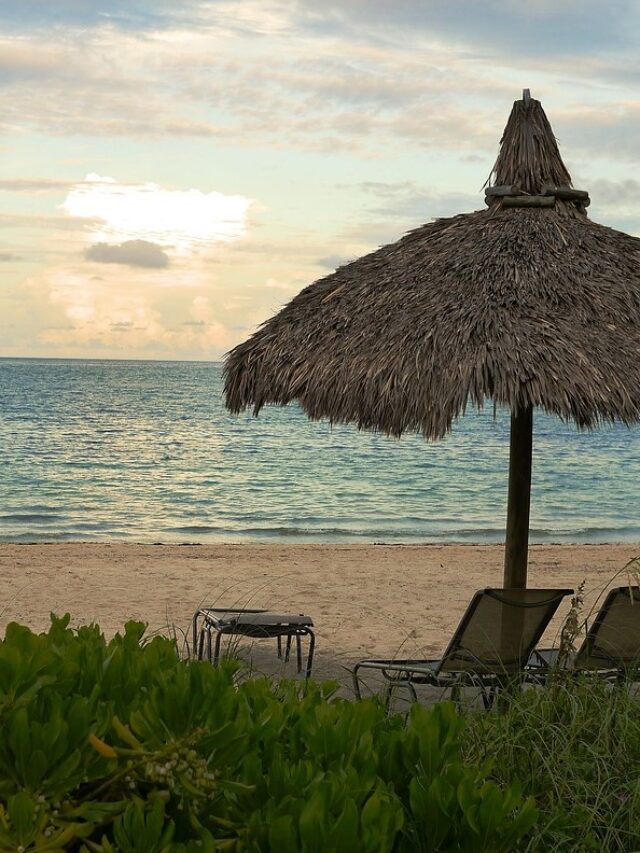 California vs Florida - US state comparison - GEOGRAPHY HOST