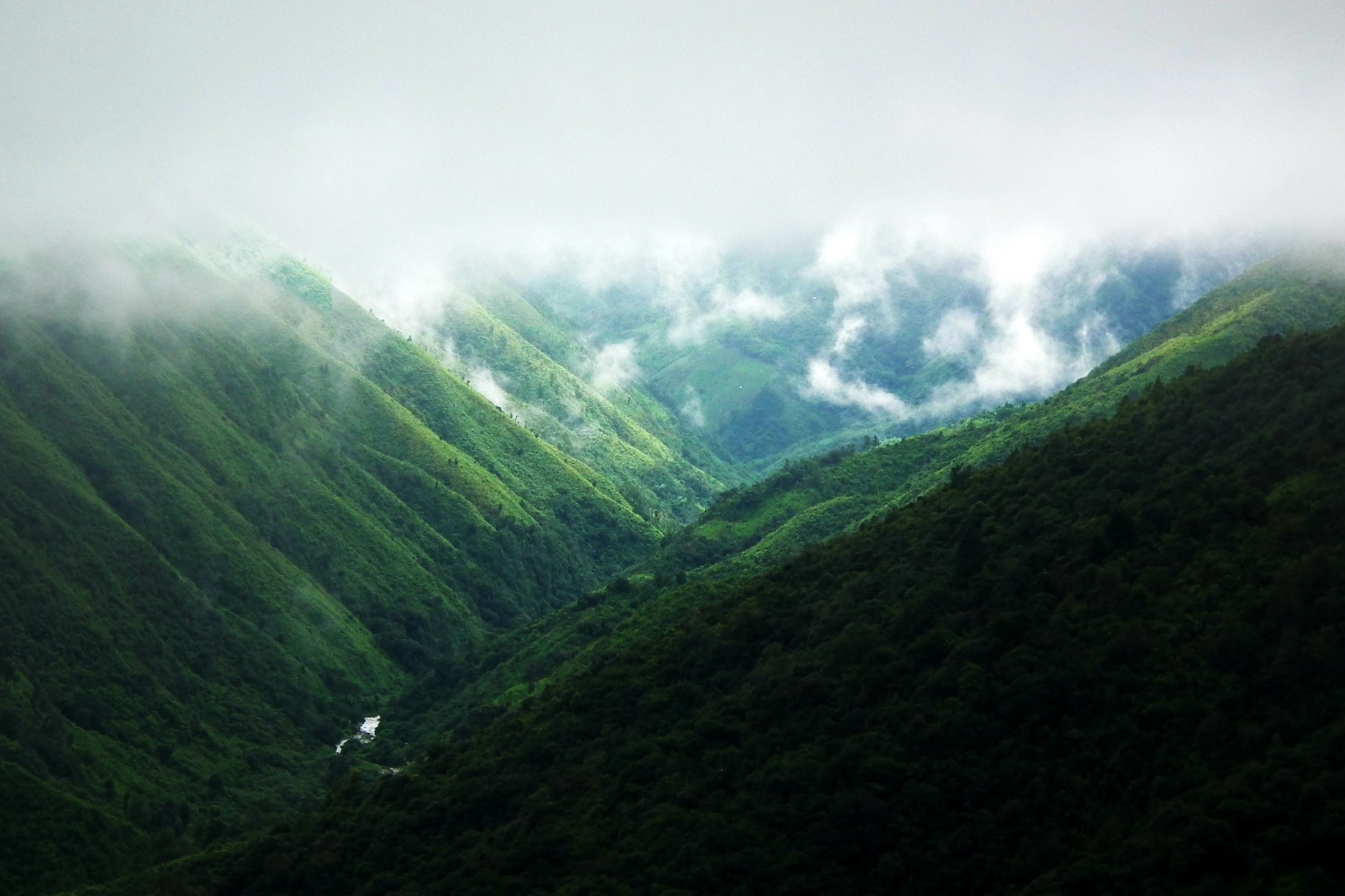 The top Wettest places on Earth | Rainiest places in the world