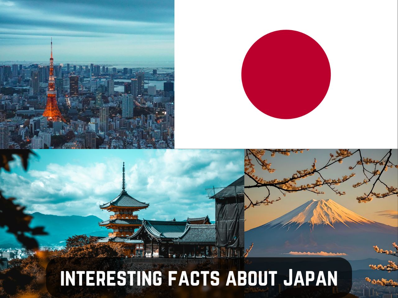 10 interesting facts about Japan - GEOGRAPHY HOST