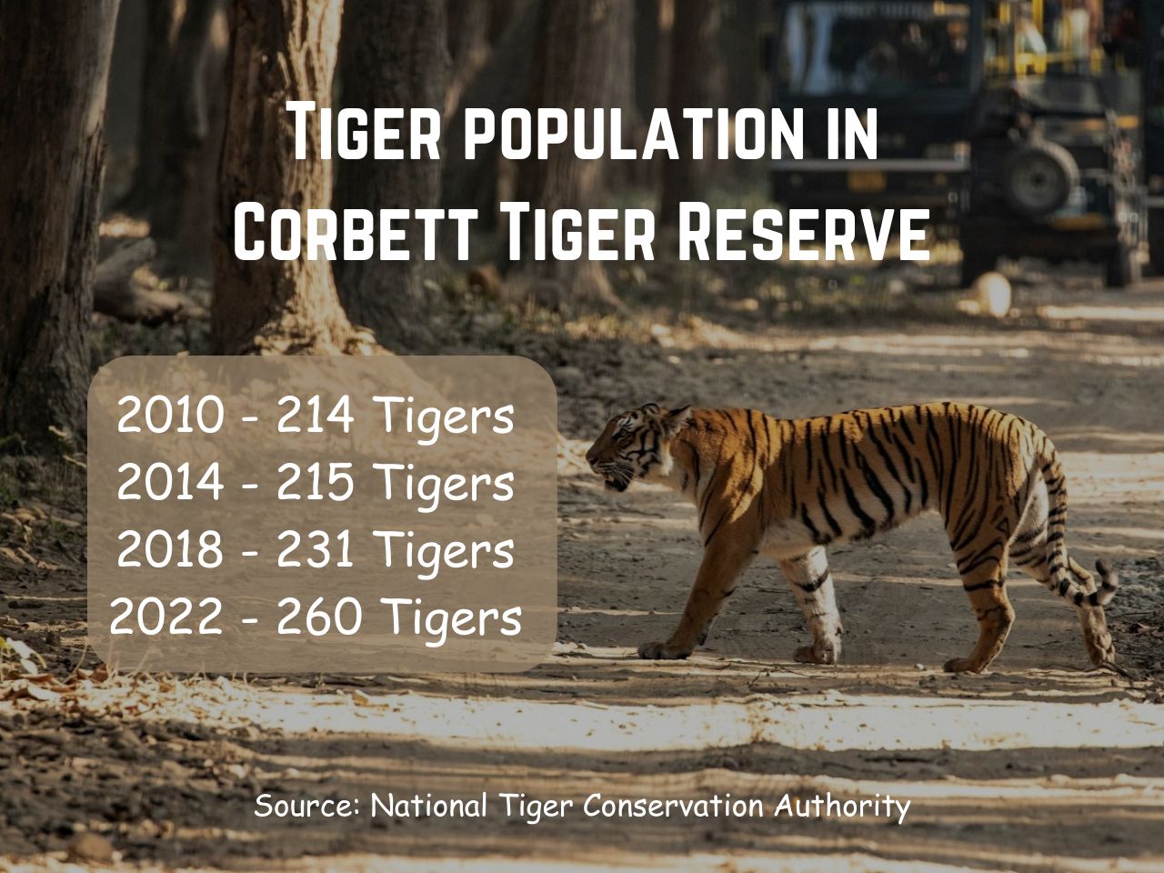 How many Tigers are in Corbett Tiger Reserve? - GEOGRAPHY HOST