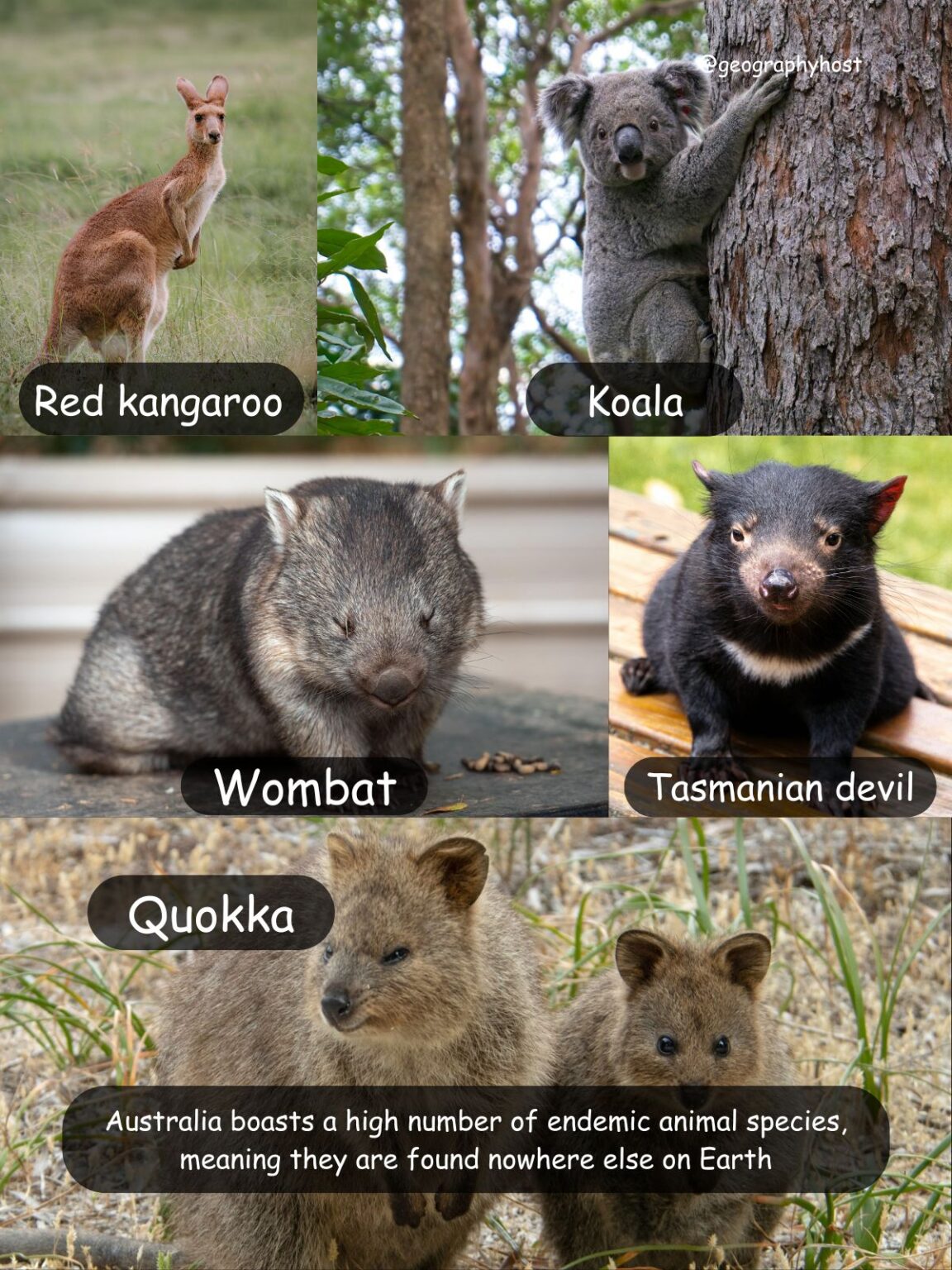 15 amazing facts about Australia, "the land down under" - GEOGRAPHY HOST