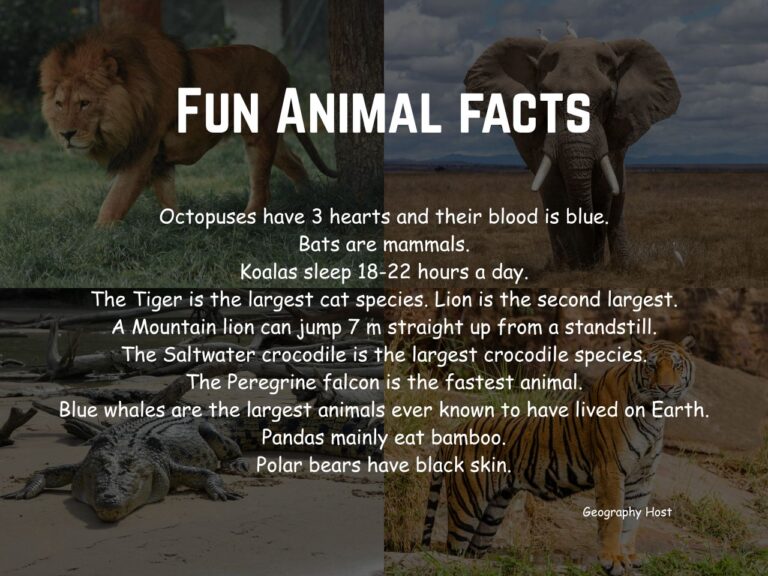 30 quick animal facts - GEOGRAPHY HOST