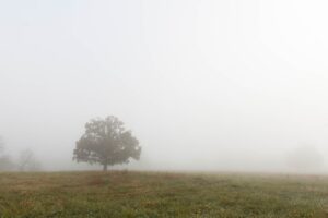Types of fog | Fog vs mist vs haze - GEOGRAPHY HOST